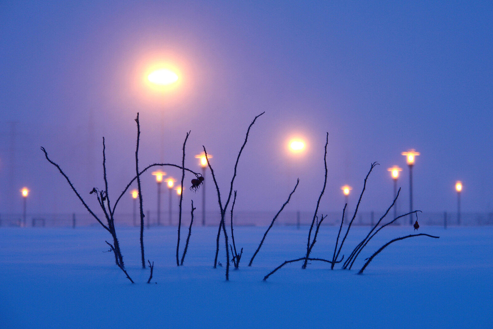 Nonstop Photos | Андрей Гирман / DSC03213