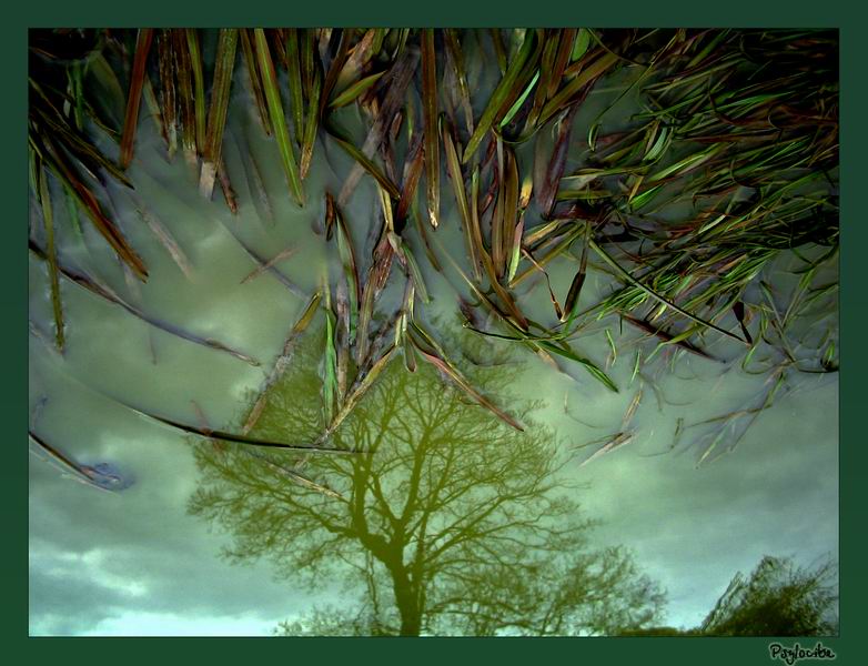 Nonstop Photos | Буланов Алексей / Wrong Sky