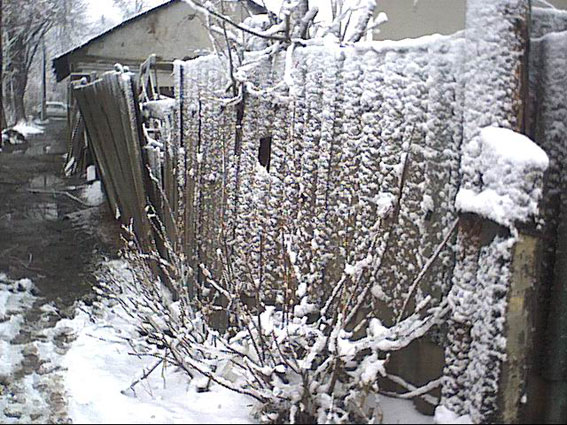 Nonstop Photos | Shole / Забор