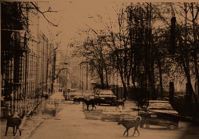 Nonstop Photos | John Daw / четыре