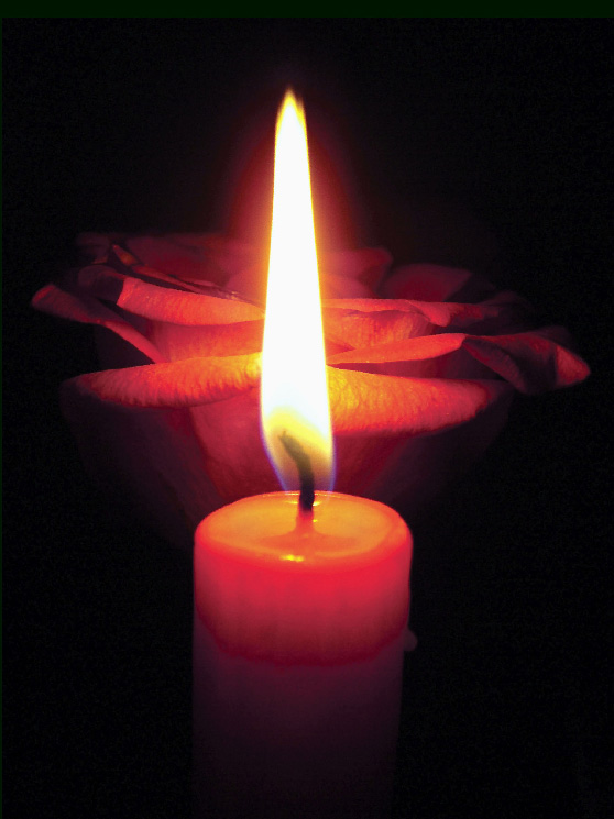 Nonstop Photos | kkcc