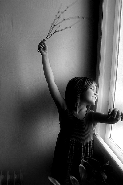 Nonstop Photos | oleg andreev / вербное