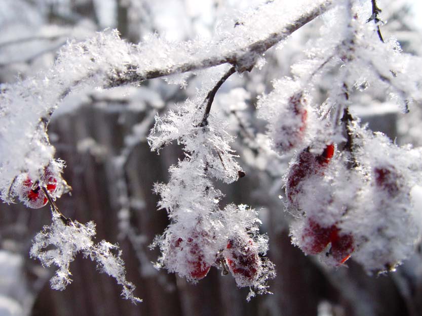 Nonstop Photos | fevs