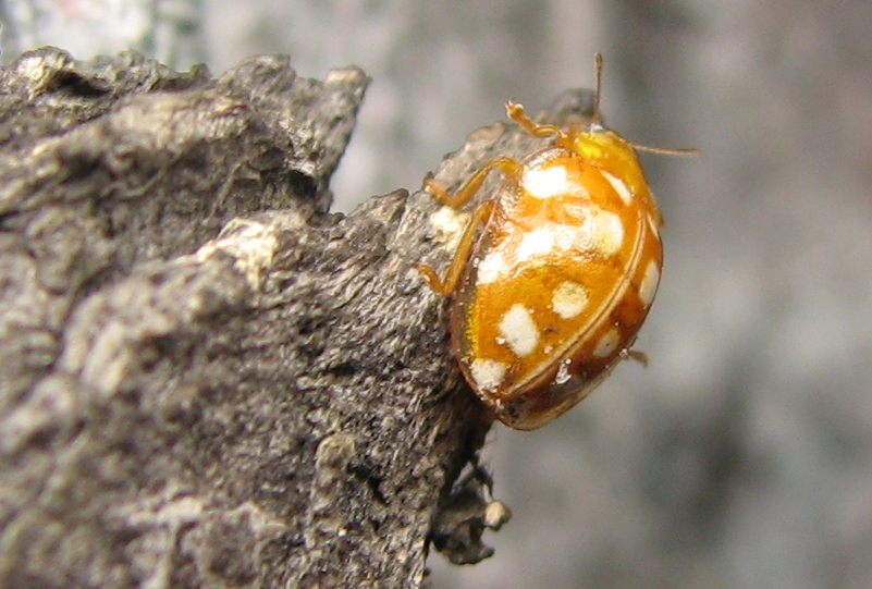 Nonstop Photos | droft / Проснулись