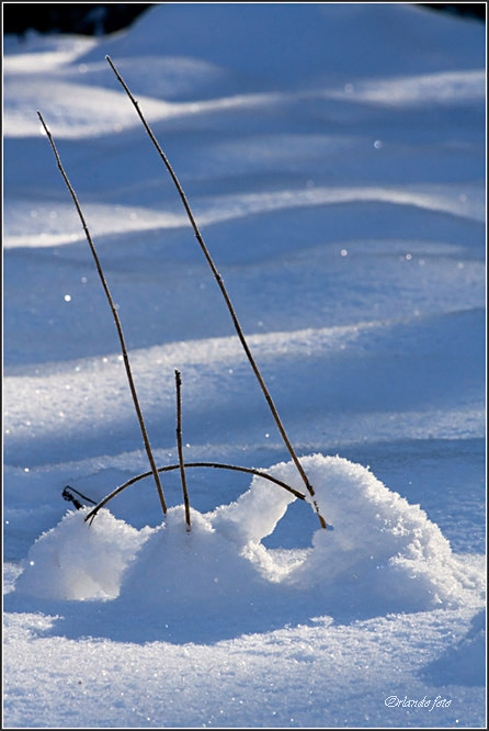 Nonstop Photos | Orlandas / Winter lines II