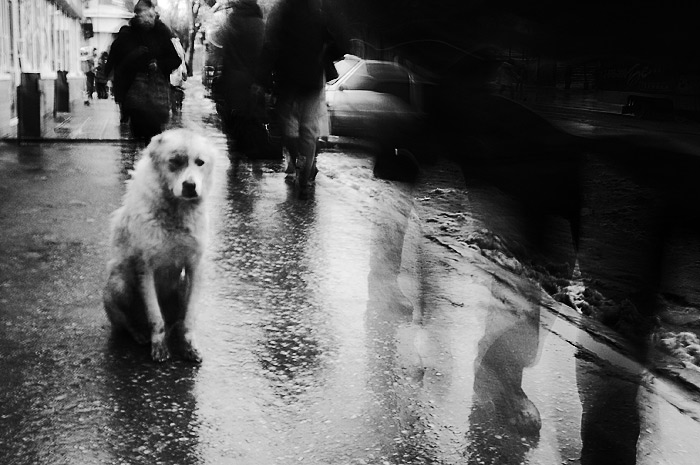 Nonstop Photos | hochpoch