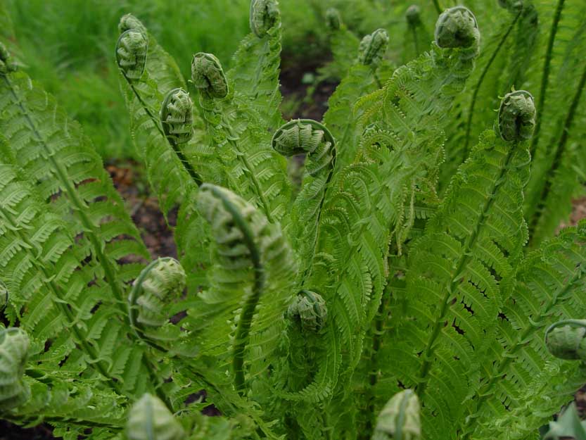 Nonstop Photos | fevs / 54