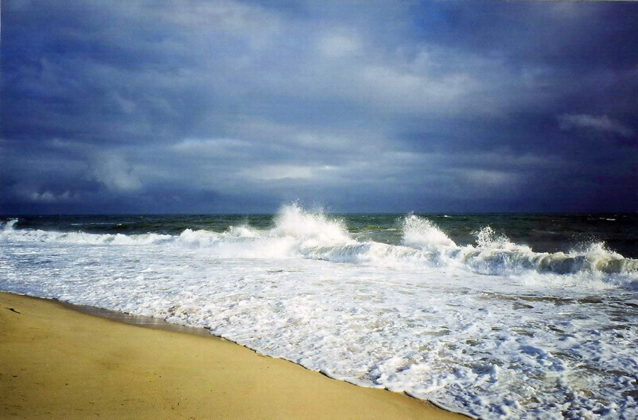 Nonstop Photos | snowdrop / стихии