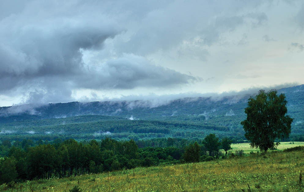 Nonstop Photos | Игорь Сагин / Дух