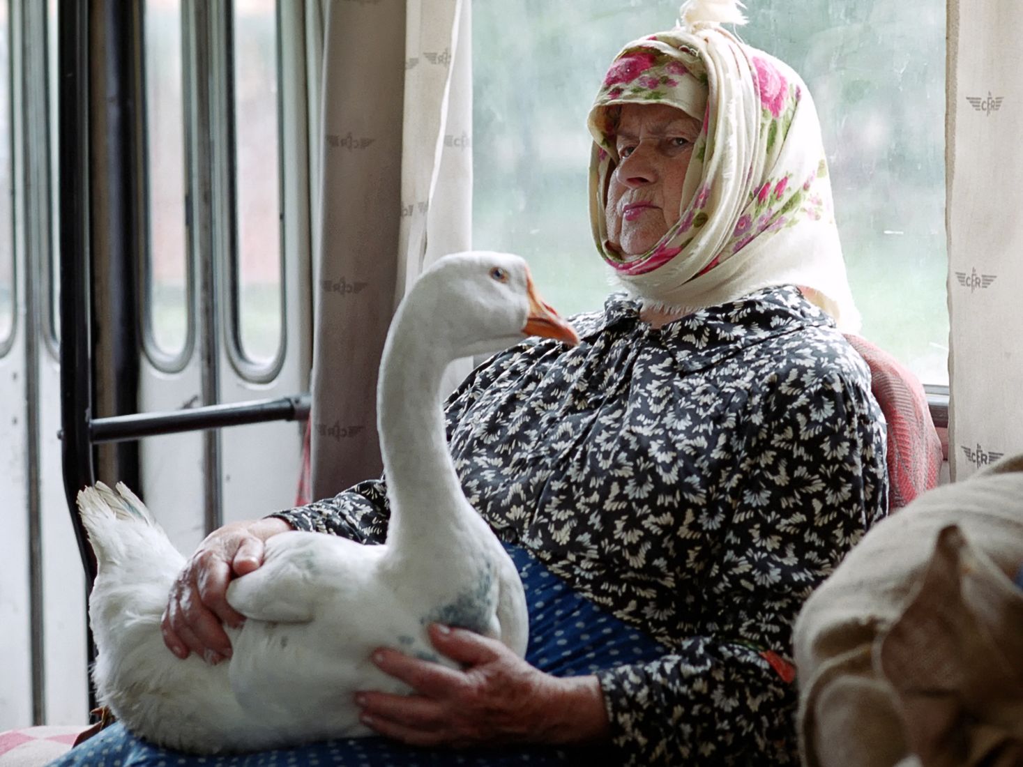 Nonstop Photos | Anatolie Poiata / On the way to the market