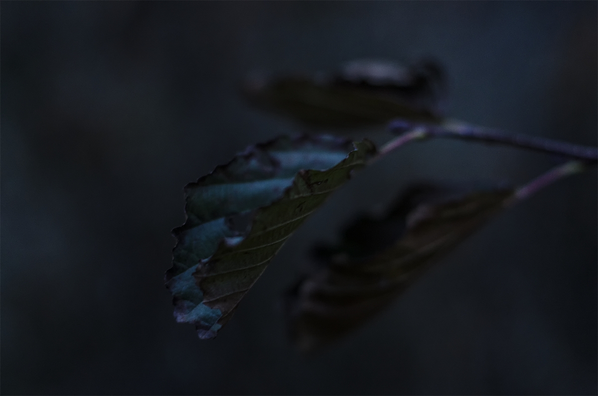 Nonstop Photos | Игнат Лориков / DSC_1523