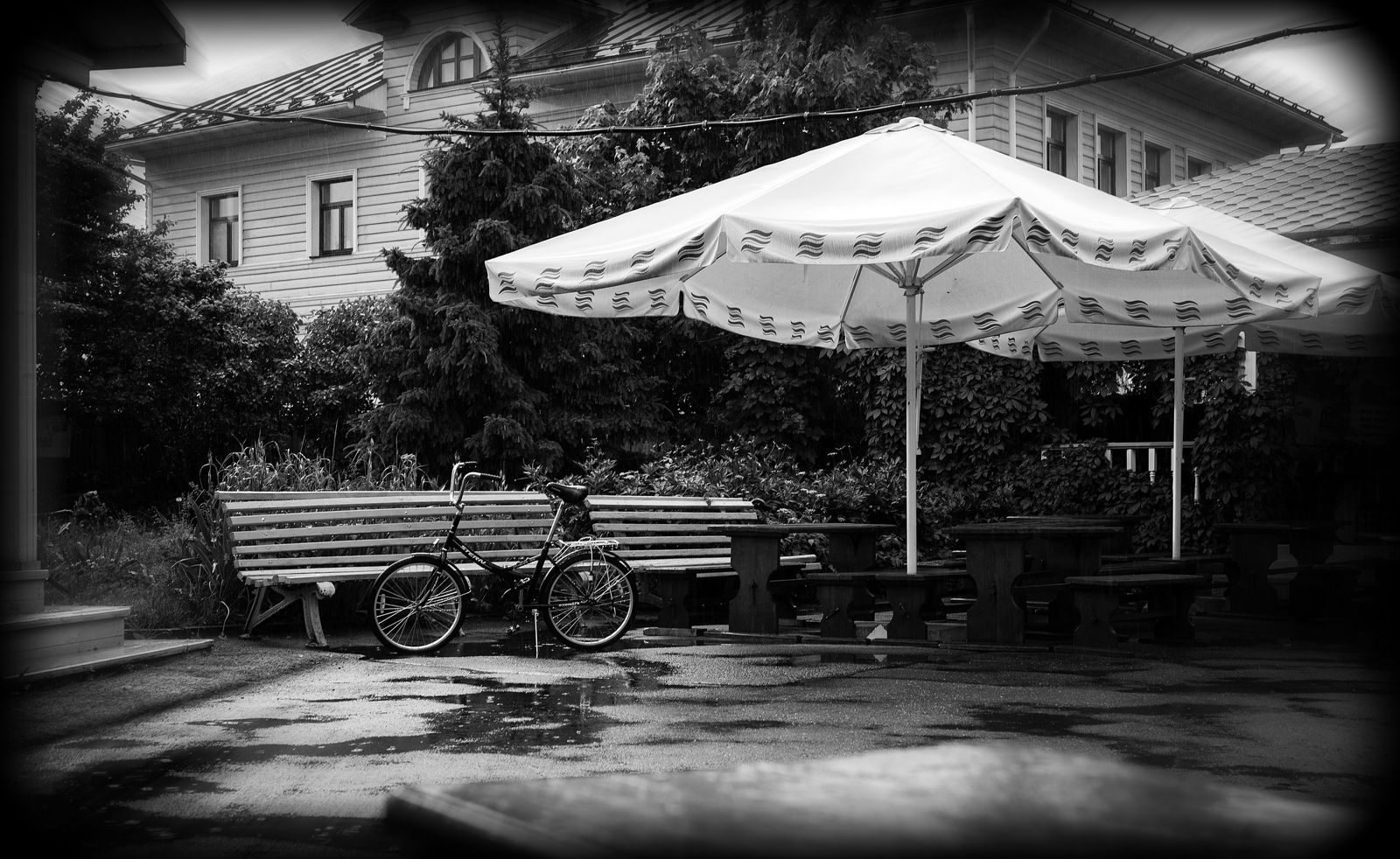 Nonstop Photos | George Nik / дождь