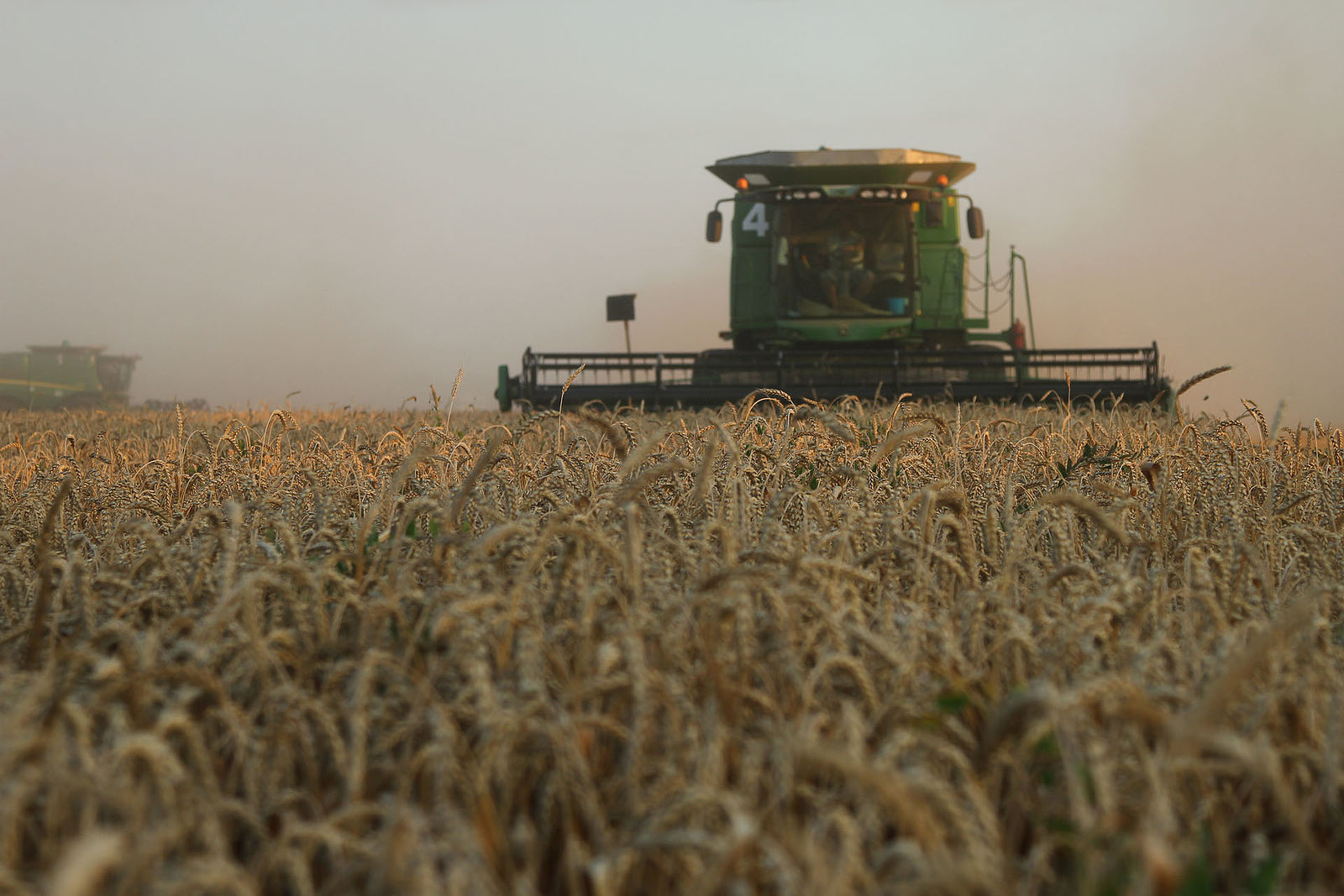 Nonstop Photos | Viktor Kort (INET) / IMG_6028